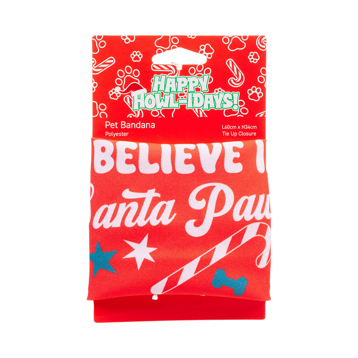 Christmas Santa Paws Bandana – The Reject Shop