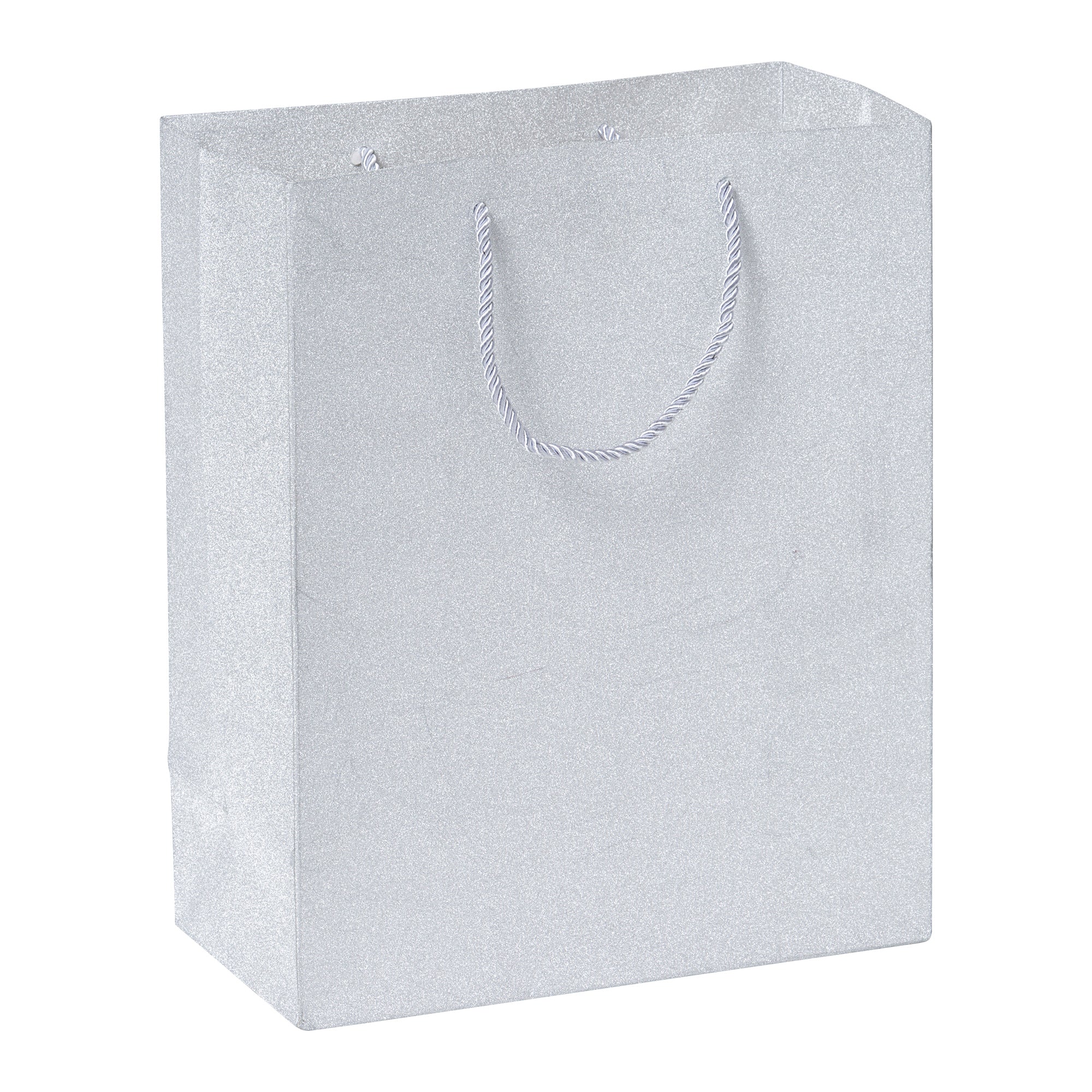 Large Paper Gift Bag Glitter – The Reject Shop