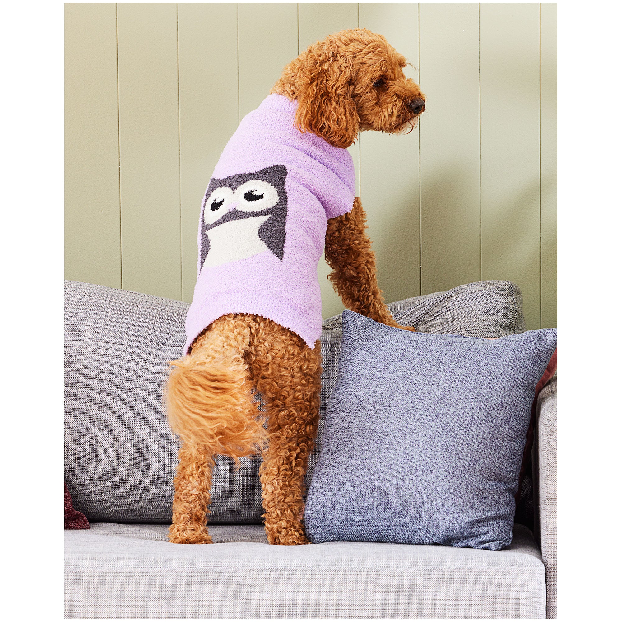 Pet Jumper Assorted Small – The Reject Shop