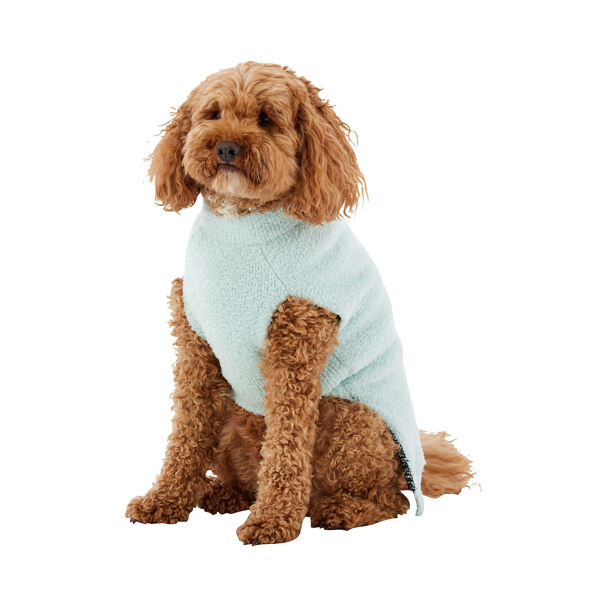 Pet Jumper Assorted Medium – The Reject Shop