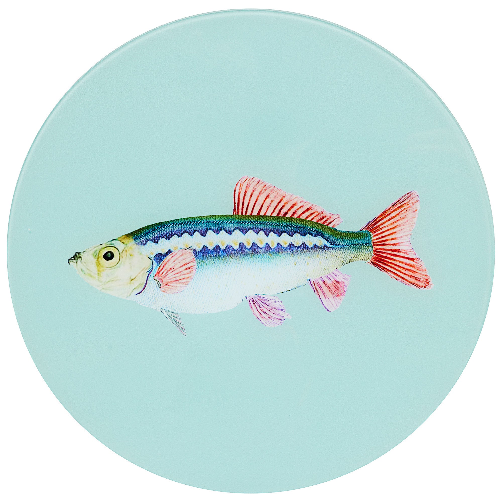 Round Glass Cutting Board Fish 31cm – The Reject Shop
