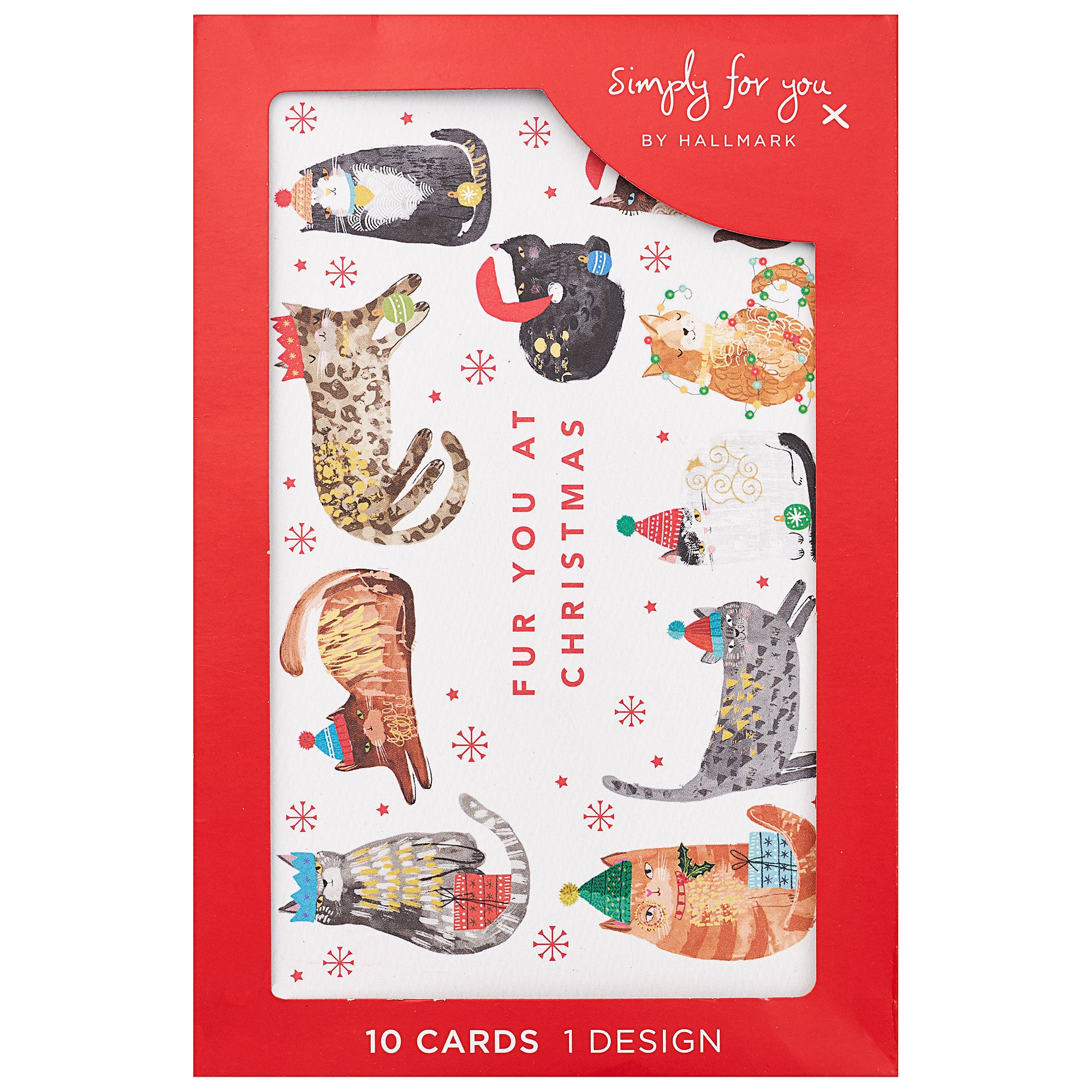 Boxed Cards Christmas Animals 10pk – The Reject Shop